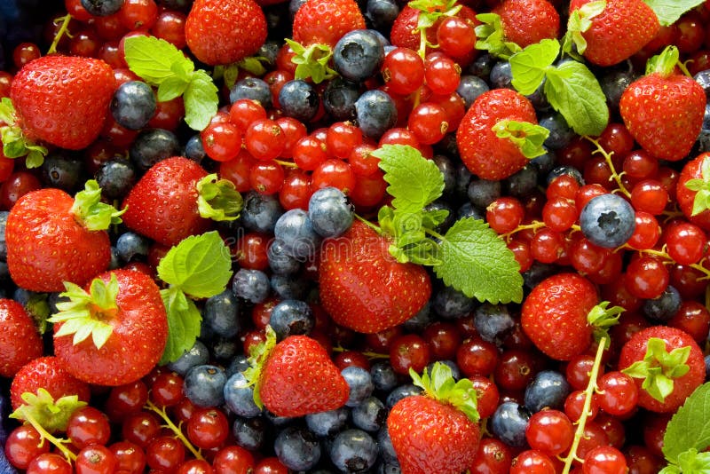De achtergrond van bessen stock afbeelding. Image of blauw - 10470713
