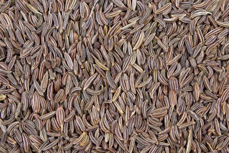 De Achtergrond Van De Komijn Stock Foto - Image of macro, korrel: 25261074