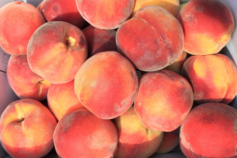 Perzik Achtergrond stock afbeelding. Image of sappig - 26013585