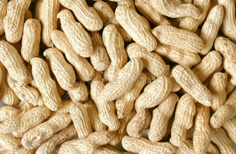 De Achtergrond Van De Pinda Stock Afbeelding - Image of proteïne, noot ...