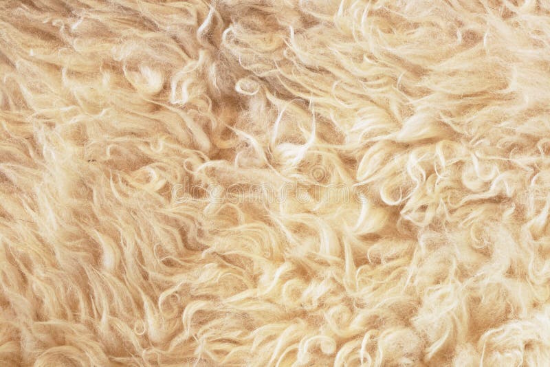 De Achtergrond Van De Vacht Stock Foto - Image of grijs, haar: 20980130