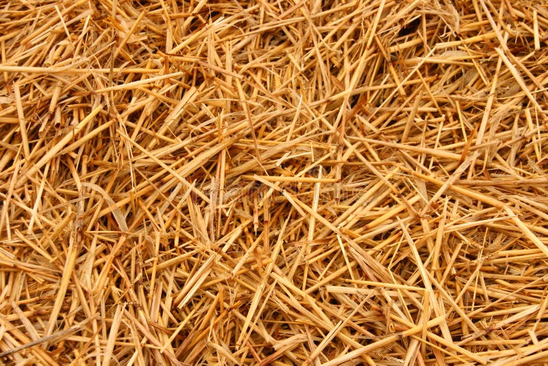 De Achtergrond Van Het Stro Stock Afbeelding - Image of stro, matras ...