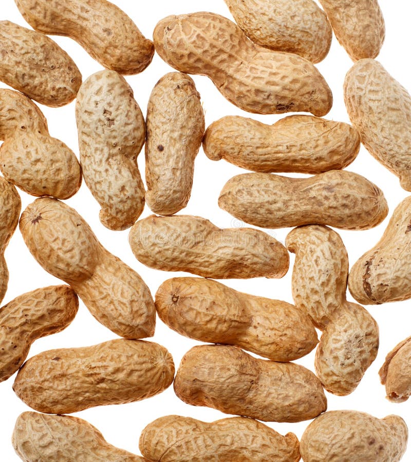 In De Zon Gedroogde Pinda's Stock Foto - Image of ongedopt, aardnoot ...