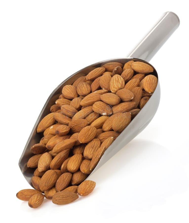 Amandelen op wit stock afbeelding. Image of amandel, inzameling - 29110279