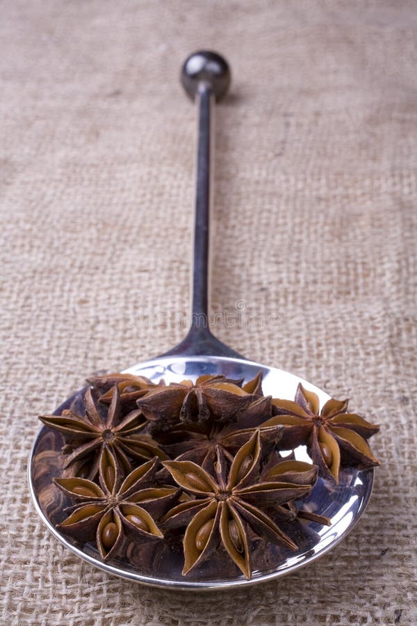 De Anijsplant Van De Ster Op Lepel Stock Afbeelding - Image of anijs ...