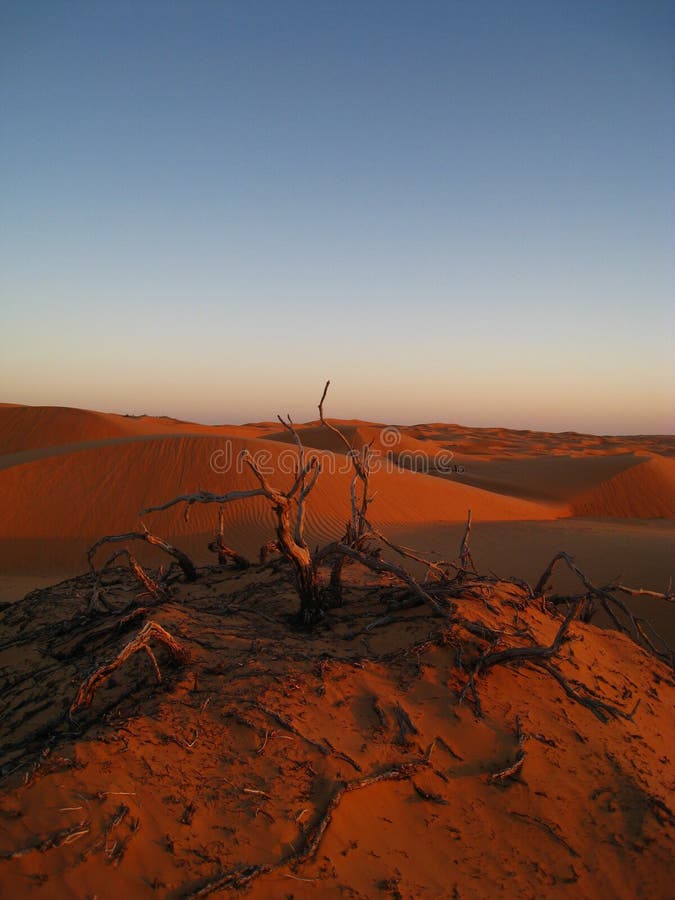 De Arabische Woestijn stock foto. Image of azië, duinen - 18483406