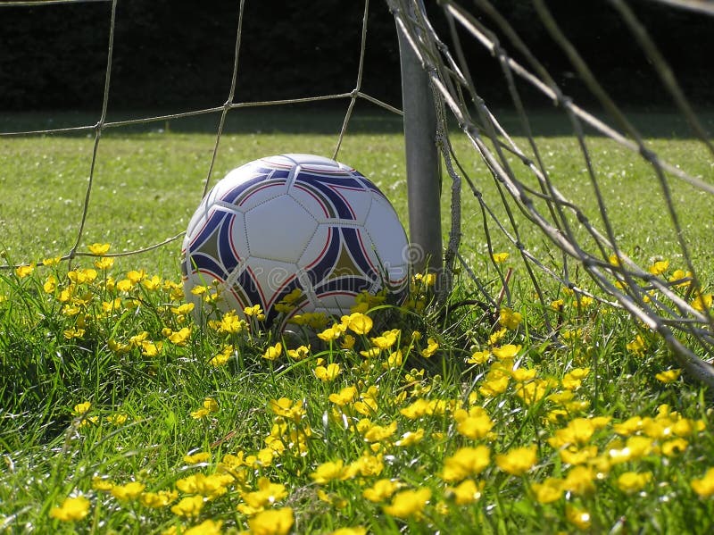 De bal van het voetbal stock afbeelding. Image of begrip - 460847