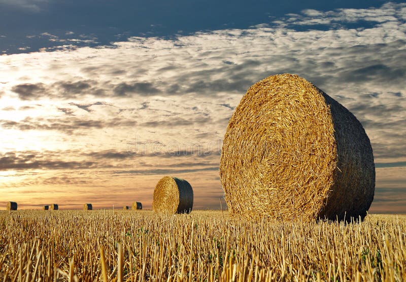 De Balen van het stro stock afbeelding. Afbeelding bestaande uit wolken ...