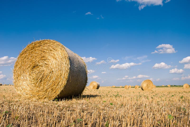 Balen van stro stock foto. Image of gebied, blauw, milieu - 6011532