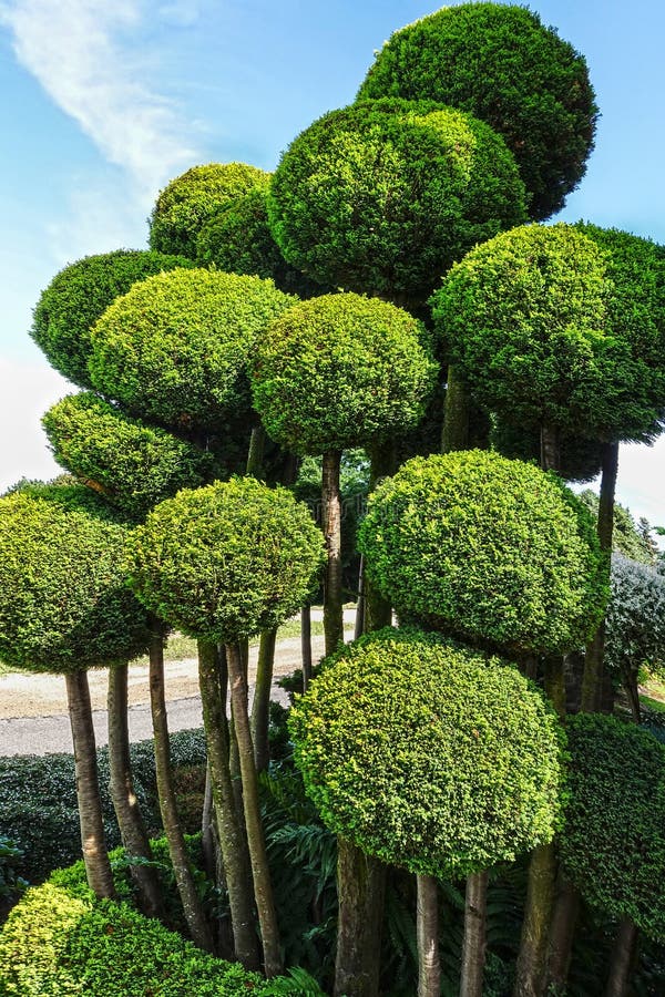 Ballshape Stock Photos - Free & Royalty-Free Stock Photos from Dreamstime