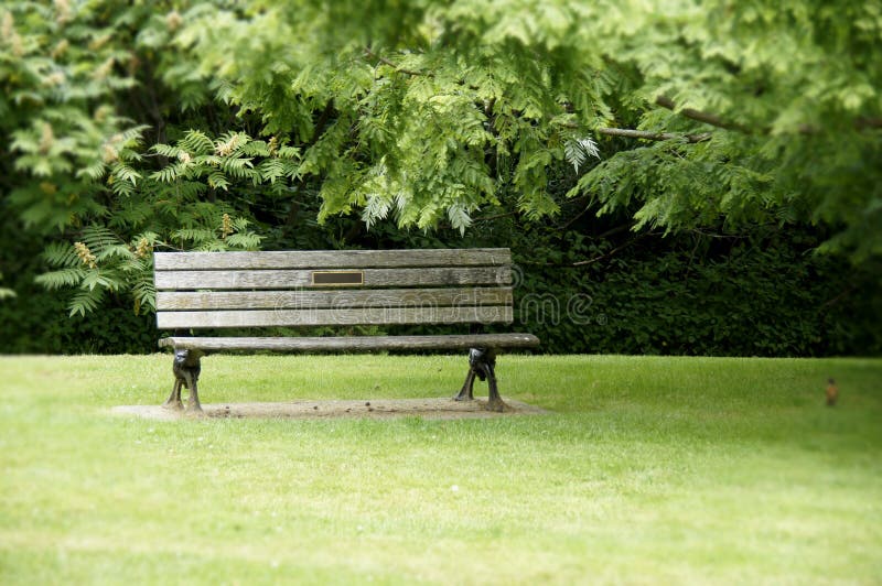 De Bank Van Het Park Met Groen Gras Stock Foto - Image of ontspanning ...
