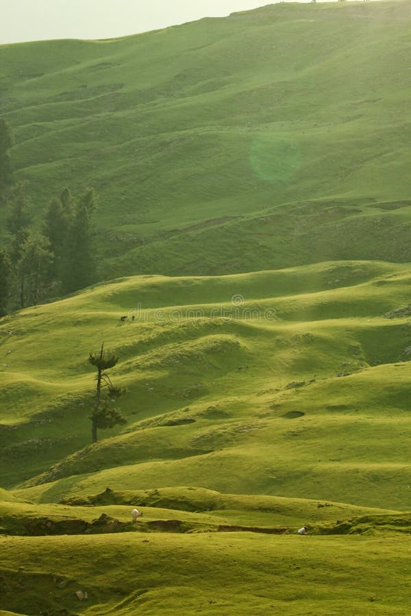 De Belles Prairies D'azad Kashmir Pakistan Image stock - Image du ...