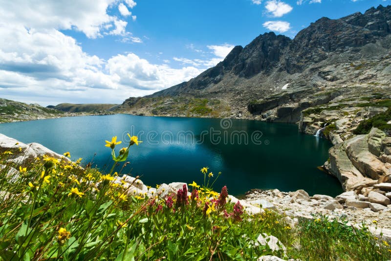 De Berg Bloeit Landschap Colorado Stock Afbeelding - Image of bloem ...