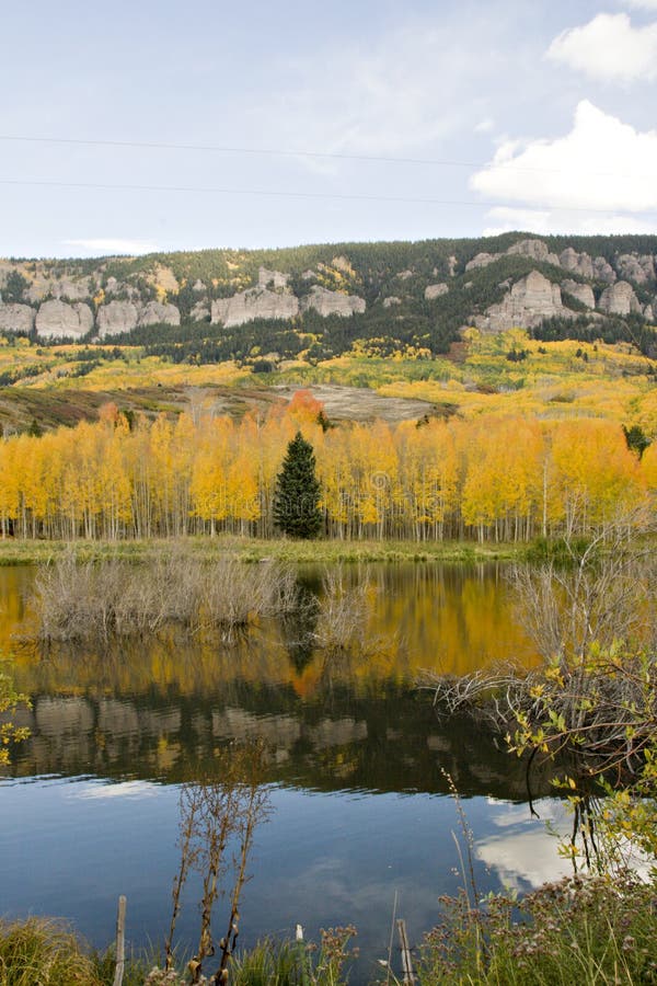 De Berg, De Bomen En Het Meer Van Colorado Stock Afbeelding - Image of ...
