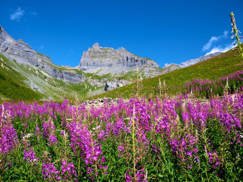 De Bergen van Sion stock afbeelding. Image of bergen - 27822699