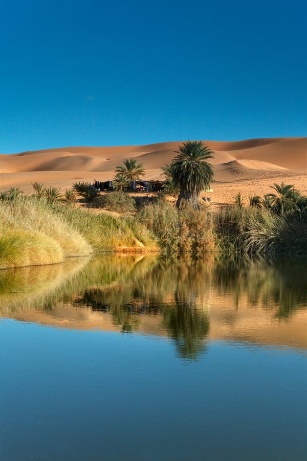Oase, De Woestijn Van De Sahara Stock Afbeelding - Image of buiten ...