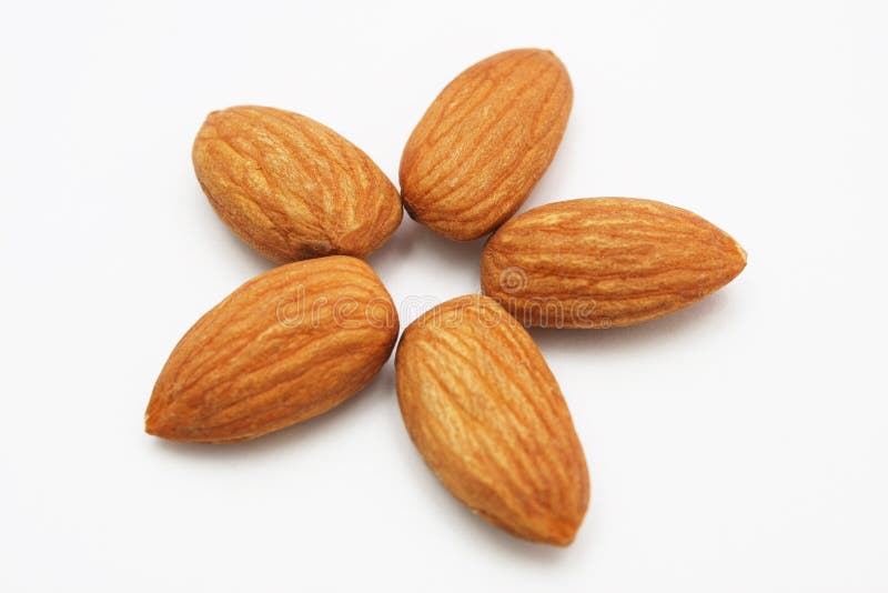 De Bloem van de amandel stock foto. Image of vorm, organisch - 5115662