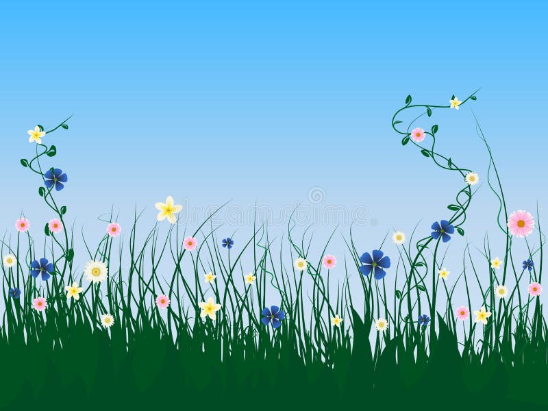 De bloemen van het gras vector illustratie. Illustration of tuinieren ...