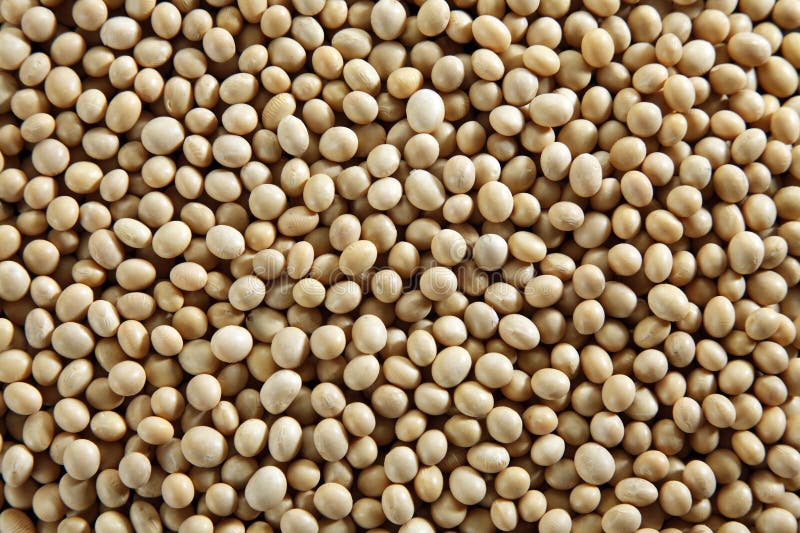 De Bonen van de soja stock foto. Image of niemand, achtergronden - 17999302