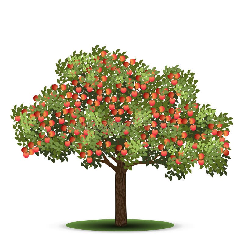 De Boom Van De Appel Met Rode Vruchten Vector Illustratie ...