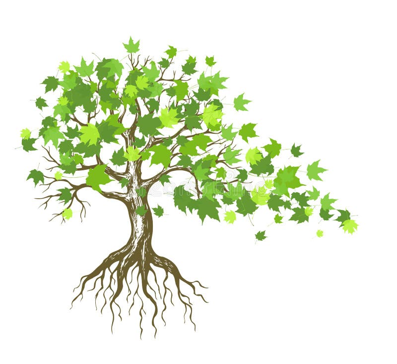 Boom vector illustratie. Illustration of boom, bladloos - 23188328