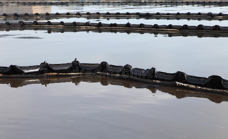 De Boom van de olie stock foto. Image of nave, zakken - 17344892