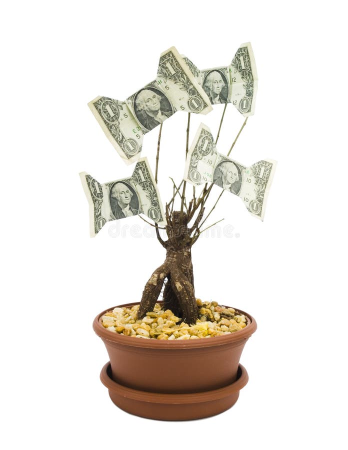 De Boom van het geld stock foto. Image of niemand, hangen - 9693716