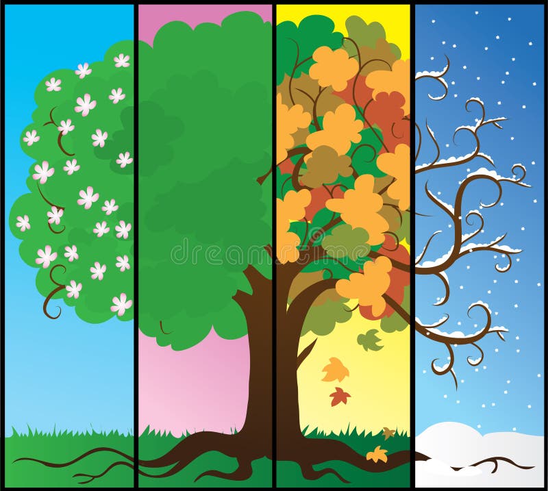 Seizoenen op een boom vector illustratie. Illustratie bestaande uit ...