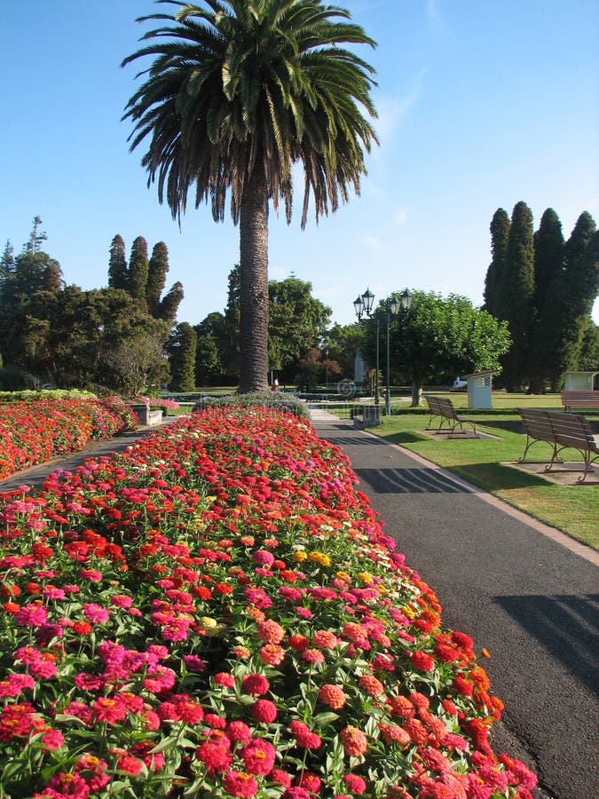 De Botanische Tuinen Van Rotorua Stock Afbeelding - Image of centrum ...