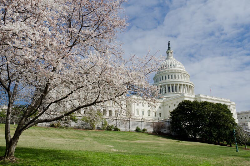 De Bouw Van Het Capitool in Washington DC De V.S. in De Lente Stock ...