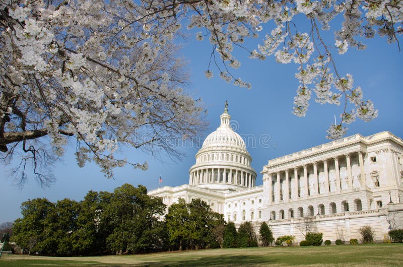 De Bouw Van Het Capitool in Washington DC De V.S. in De Lente Stock ...
