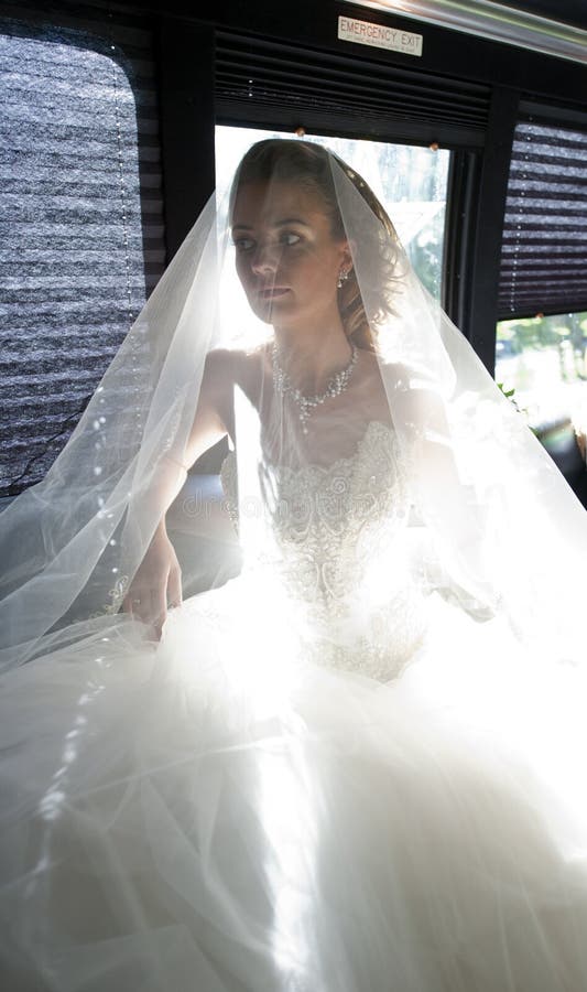 De bruid. stock foto. Image of kleur, bruid, manier, viering - 21351990