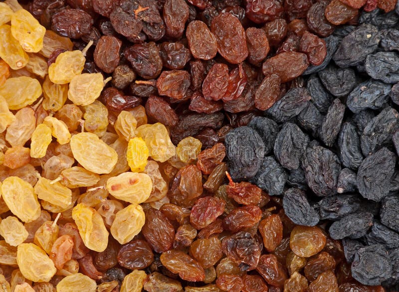 Droge rozijn stock afbeelding. Image of niemand, mengeling - 13269845