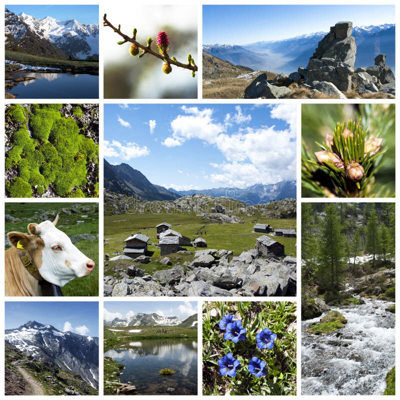 Alpen-collage stock foto. Image of blauw, huis, groen - 16065838