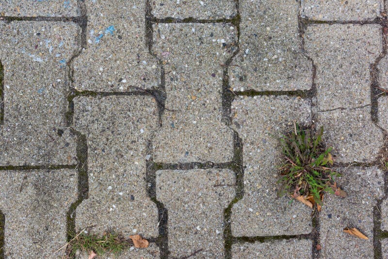 De Concrete Steen Ruw Grey Texture Weed Outdoors Van De Stoeptegel ...