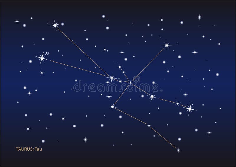 De Constellatie Van De Stier Vector Illustratie - Illustration of ...