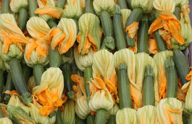 De Courgettes Van De Baby Met Bloemen Stock Foto - Image of vegetariër ...