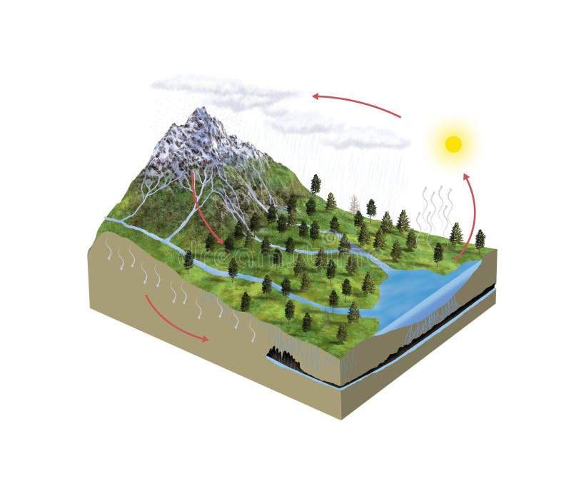 De cyclus van het water stock illustratie. Illustration of condensatie ...