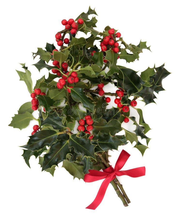 Het Blad Van De Hulst En De Rode Grens Van De Bes Stock Afbeelding ...