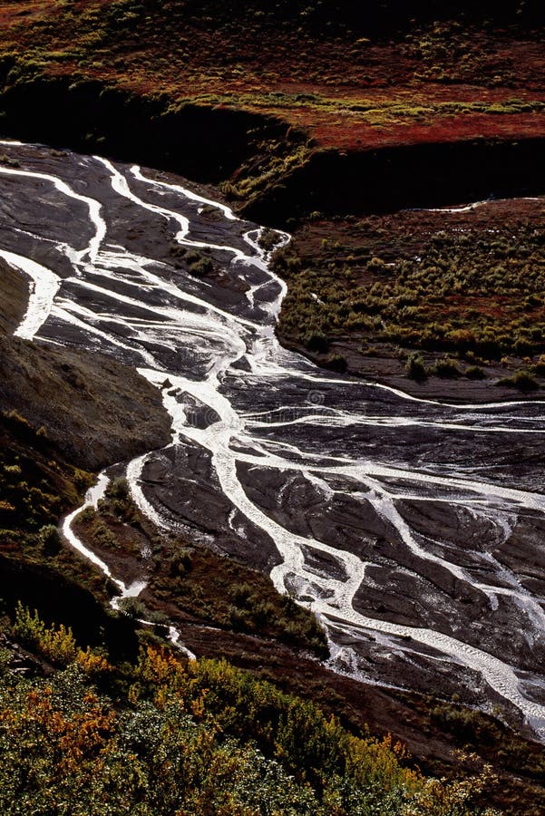 Rivierdelta stock afbeelding. Image of verlaten, moeras - 6154499