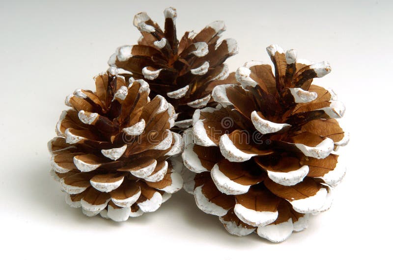 Kerstdennenappels stock foto. Image of comfortabel, sneeuw - 1057716