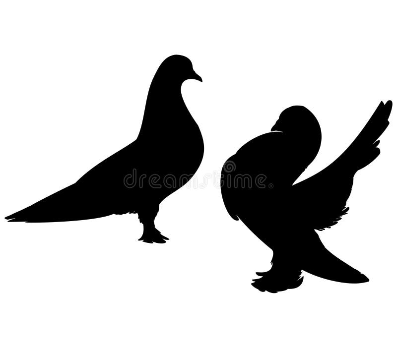 De duif van de duif vector illustratie. Illustration of hoofd - 16216317