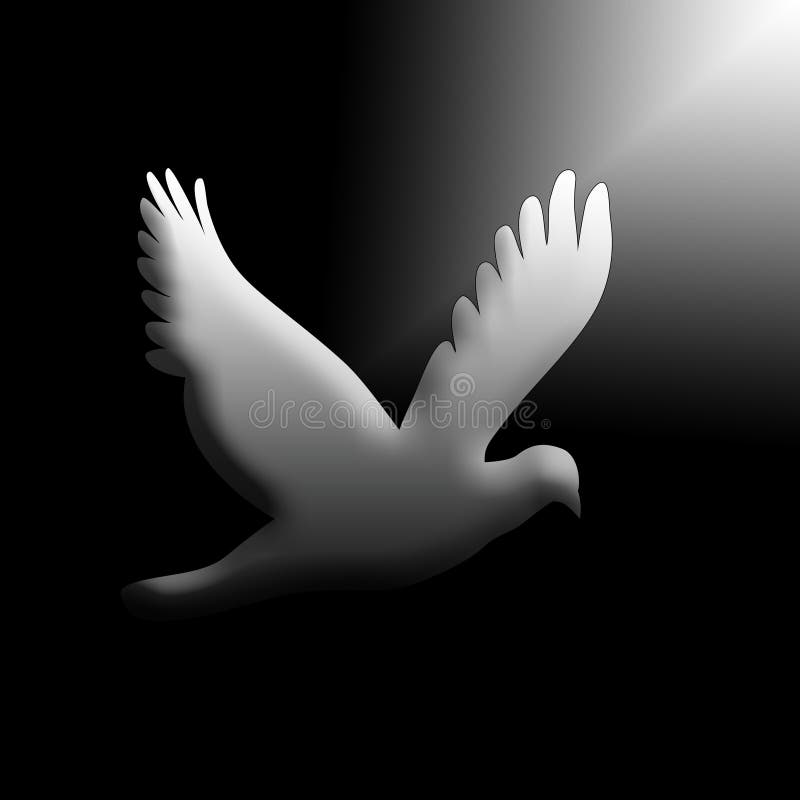 Duif of vogel vector illustratie. Illustration of zwart - 33886821