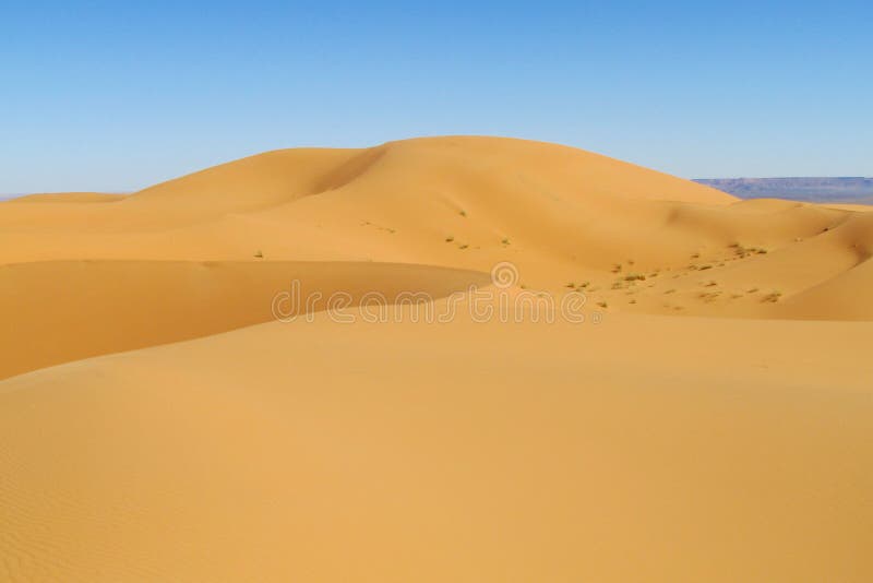 De Duinen Van De Het Zandwoestijn Van Afrika Stock Foto - Image of ...