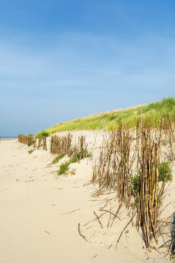 De Duinen Van Het Zand Bij Het Strand Stock Afbeelding - Image of ...