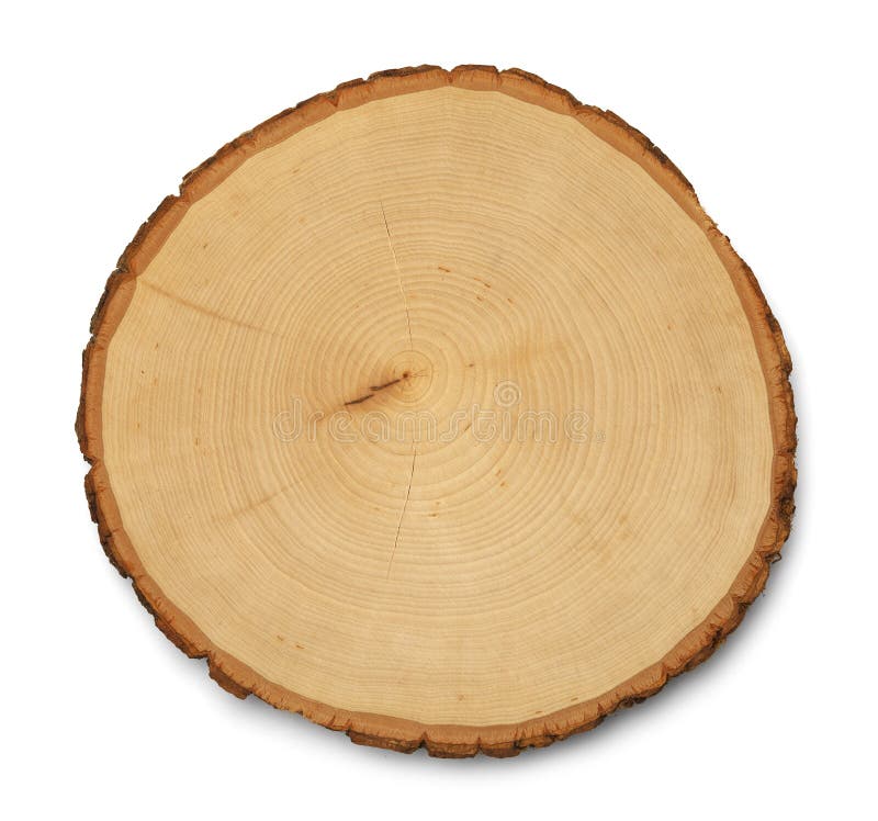Dwarsdoorsnede Die Van Boomboomstam De Groeiringen Toont Stock ...