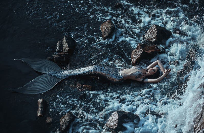 Meermin stock afbeelding. Image of meisje, sprookje, horizontaal - 14735275