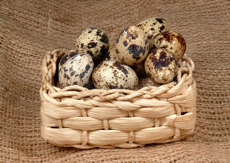 De eieren van kwartels stock afbeelding. Image of kwartels - 28680577