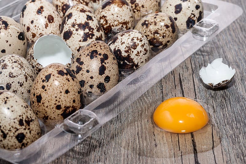 De eieren van kwartels stock foto. Image of eierschaal - 50218910
