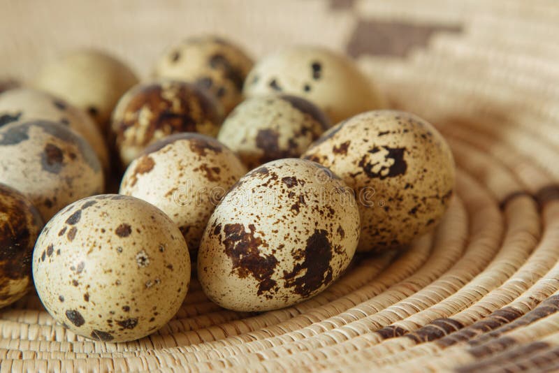 De Eieren Van Kwartels In De Mand Stock Foto - Afbeelding bestaande uit ...
